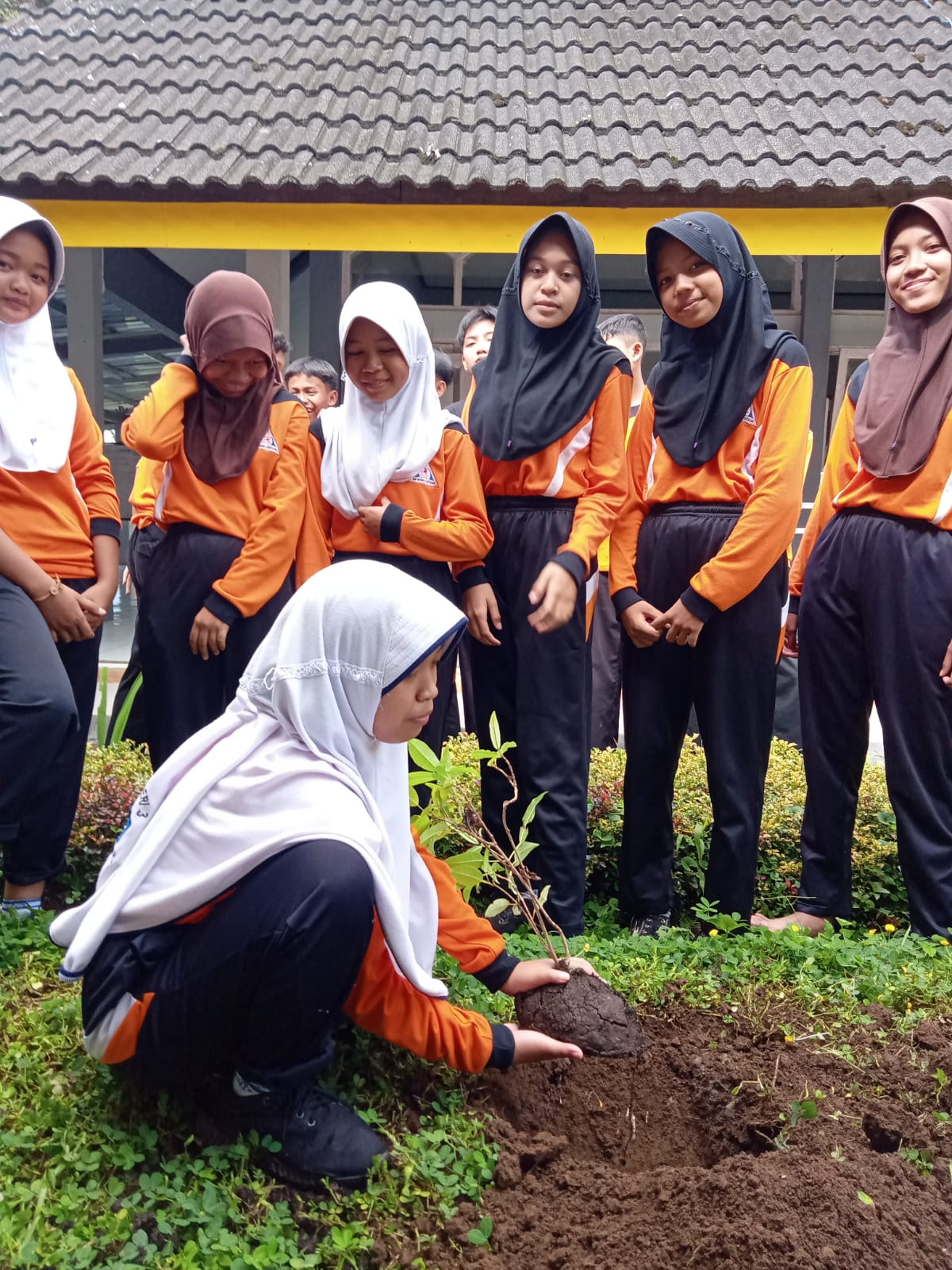 Aksi Hijau Pelajar! SMP Negeri 3 Kutasari Tanam Pohon Serentak di Hari Bumi 2025 - Kabar Desaku